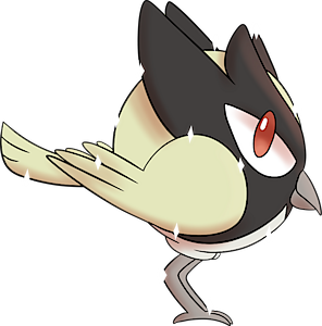 Pokemon 2821 Shiny Rookidee Pokedex: Evolution, Moves, Location, Stats